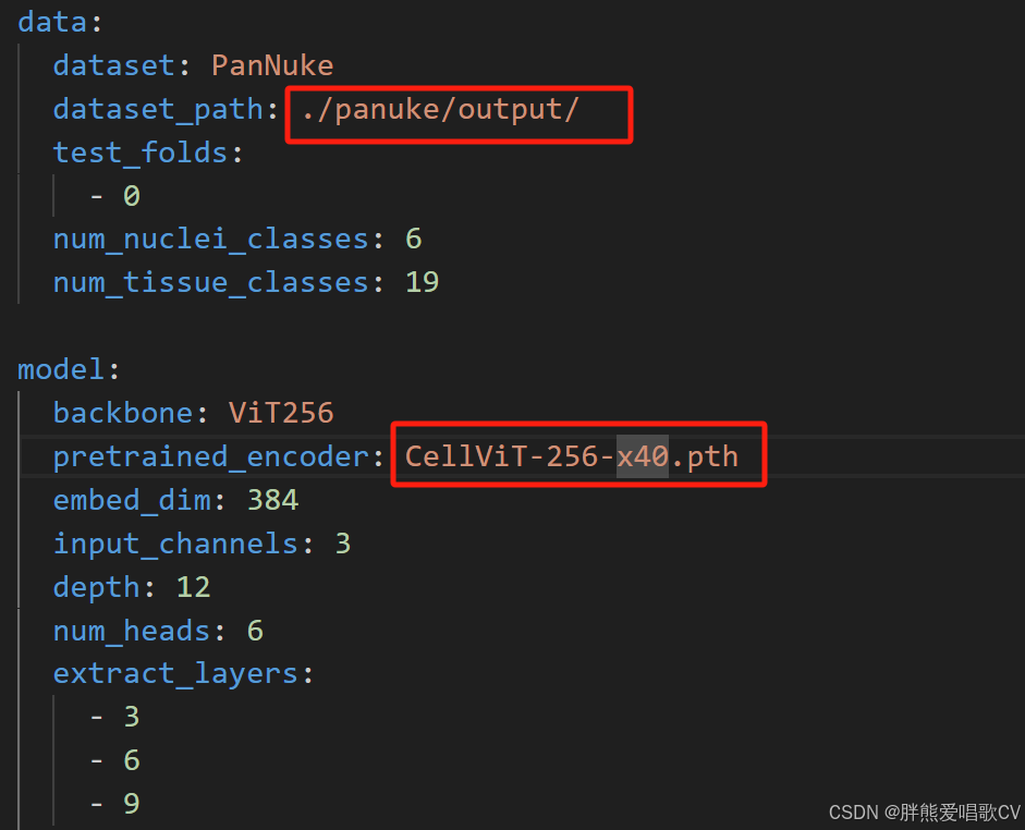 2024-9-27 CellVIT实验复现-CSDN博客