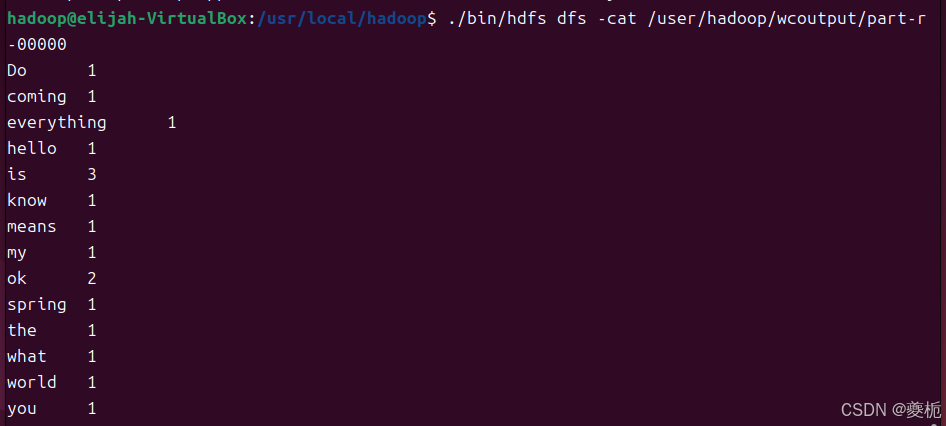 Hadoop分布式部署实现wordcount教程_hadoop wordcount-CSDN博客