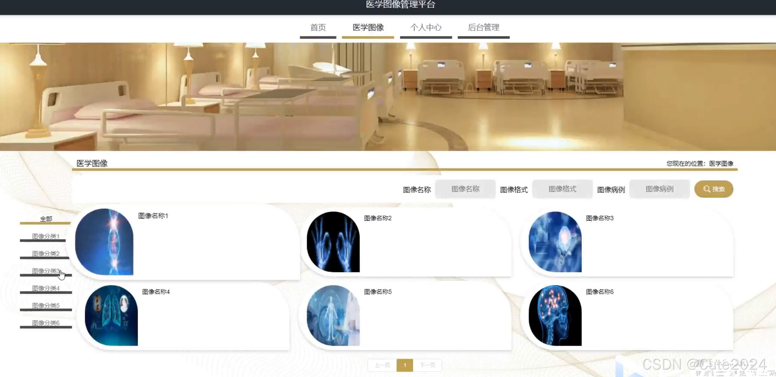 Springboot医学图像管理平台2ro2y（程序源码数据库调试部署开发环境）springboot医学影像存档与检索系统源码 Csdn博客