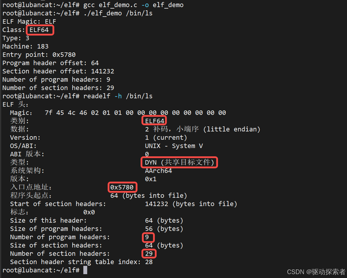 ELF 文件入门_elf文件 .data-CSDN博客