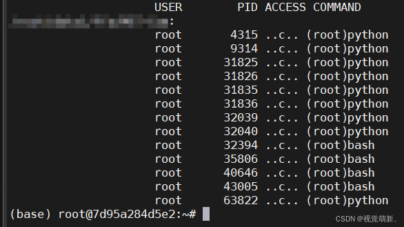 Linux常用指令：fuser指令——捕获某个文件系统的进程信息（也可以捕获显卡等硬件上的进程）-CSDN博客