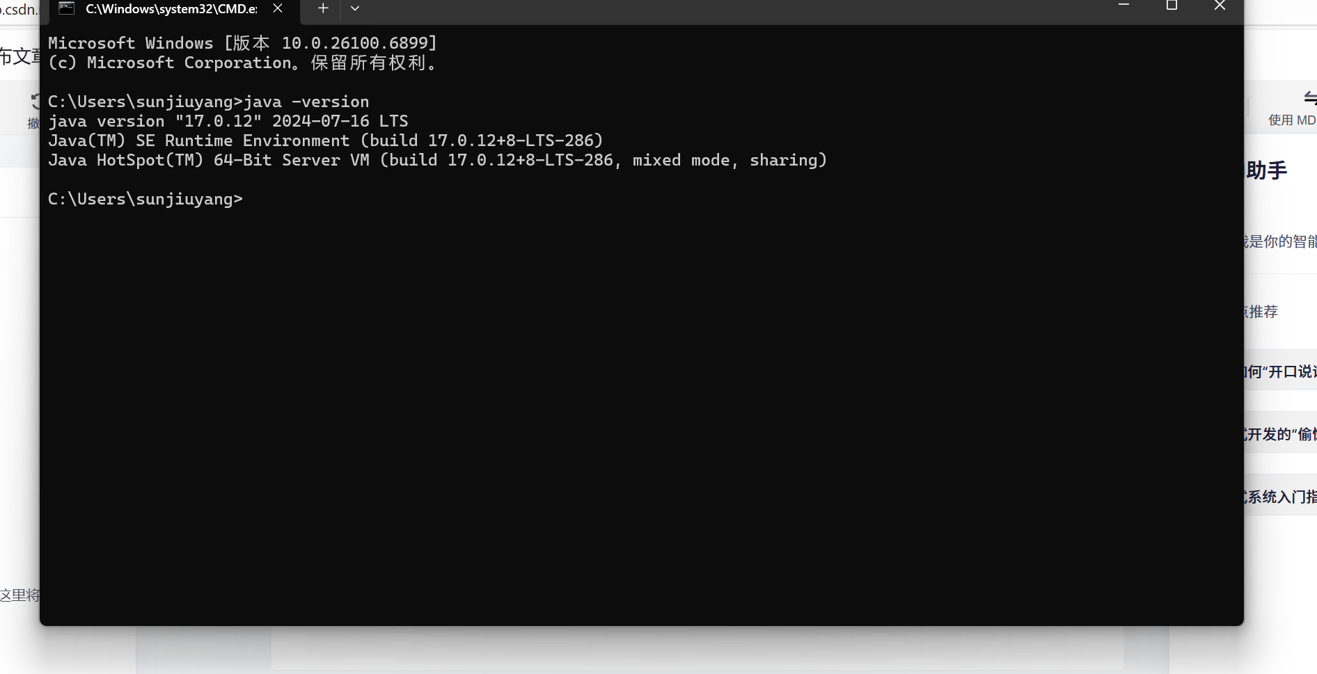 若依搭建JDK安装过程-CSDN博客