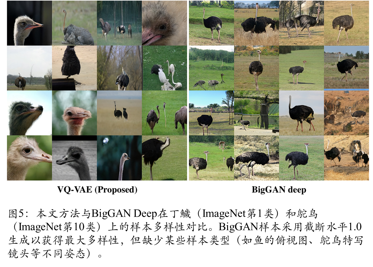 论文VQ-VAE-2（Generating Diverse High-Fidelity Images with VQ-VAE-2）详解（PyTorch）_vq-vae2-CSDN博客