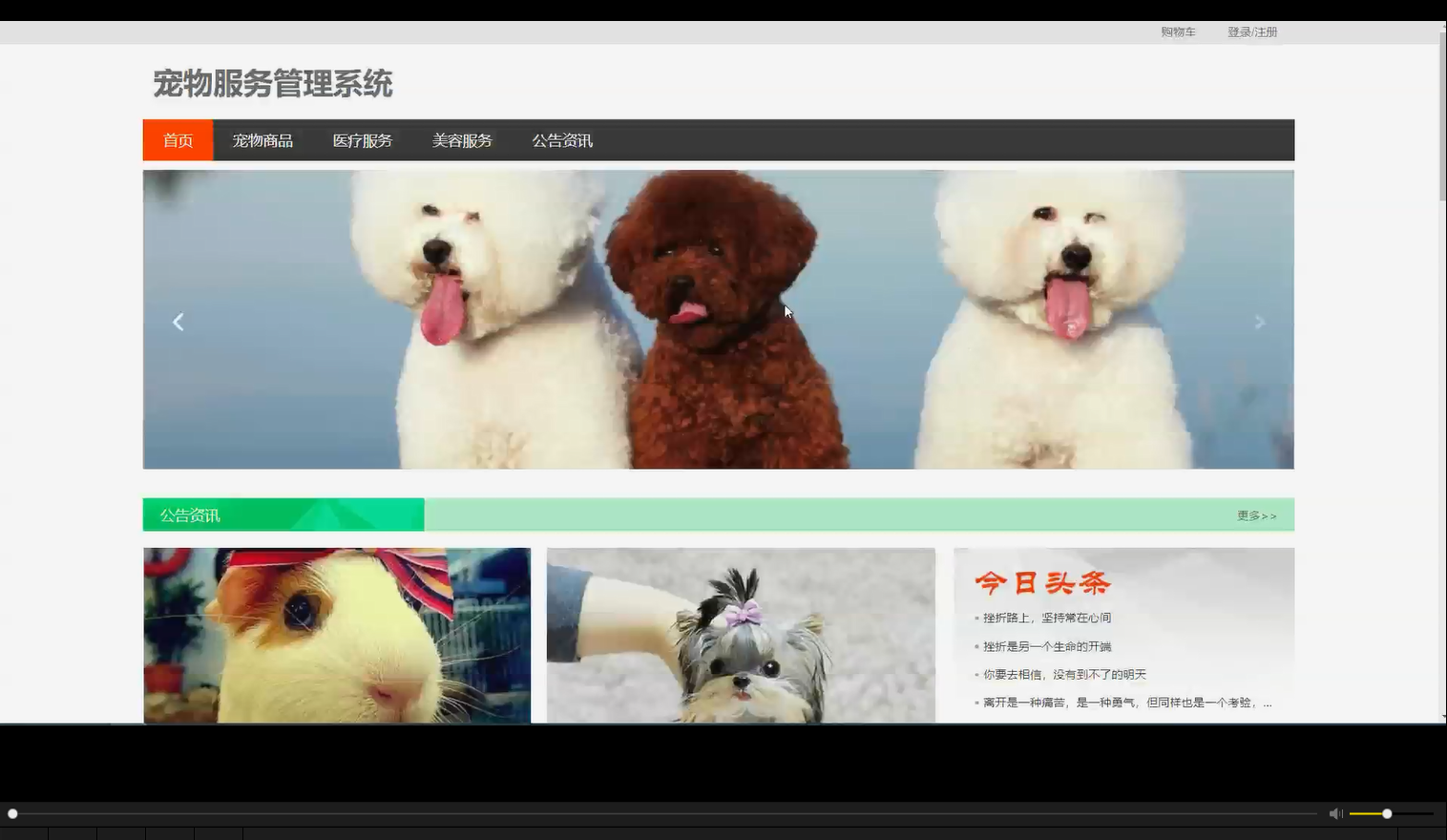 企业级宠物服务管理系统管理系统源码｜Python Django+Vue+Django ORM架构+MySQL数据库【完整版】-CSDN博客