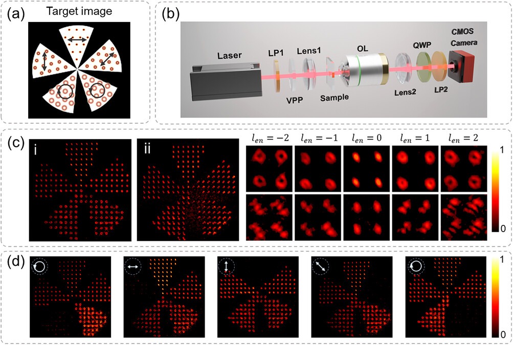 [超表面论文快讯-268] LPR-全偏振控制轨道角动量超构全息术-北京大学龚旗煌|李焱团队-CSDN博客