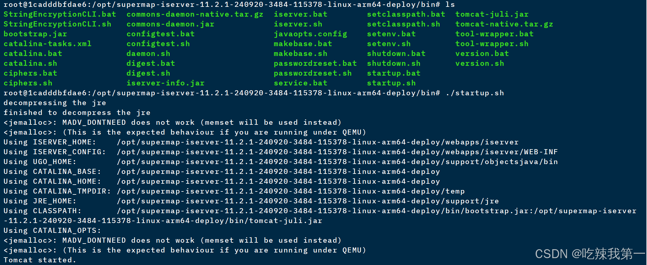 在X86平台模拟运行SuperMap iServer ARM版_supermap arm-CSDN博客