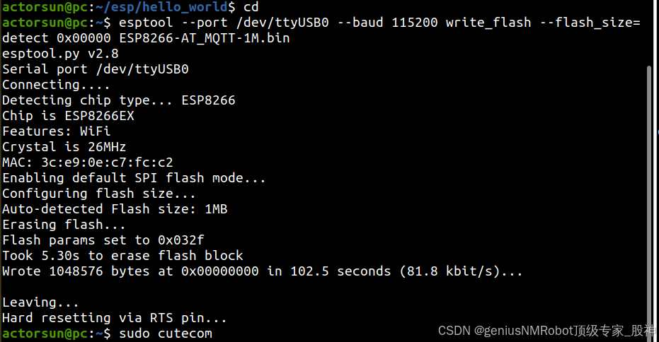ubuntu烧录/下载固件到ESP8266/ESP01S： esptool_ubuntu esptool-CSDN博客