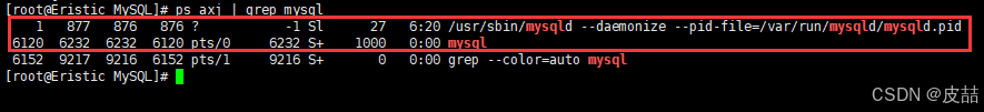 如何在服务器上安装并使用MySQL_服务器安装mysql-CSDN博客