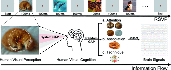 [CVPR 2025]Bridging the Vision-Brain Gap with an Uncertainty-Aware Blur Prior-CSDN博客