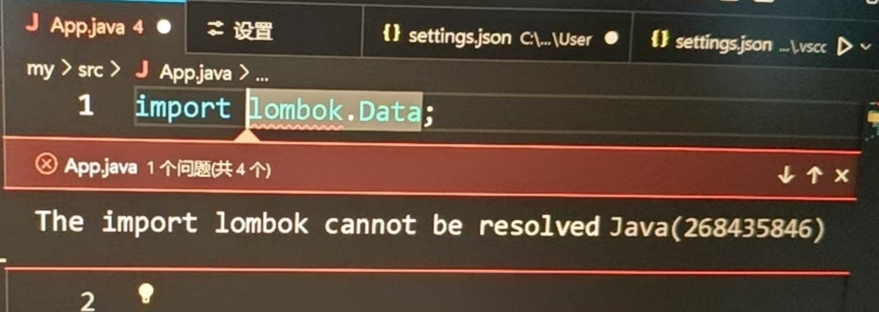 在VS Code中使用Lombok时，常出现的问题。_vscode lombok-CSDN博客