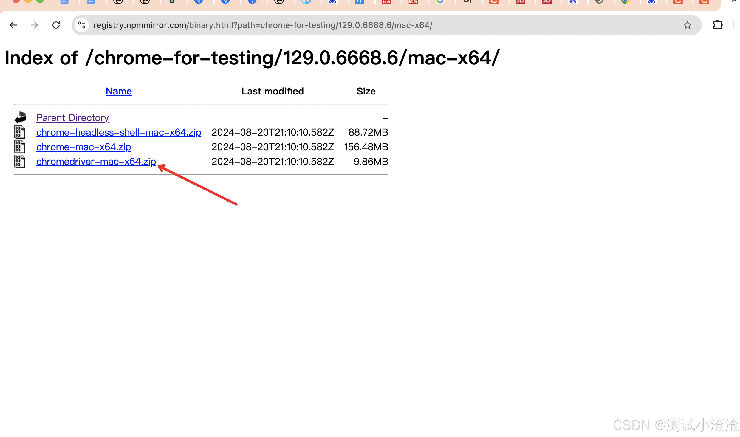 Mac电脑安装Webdriver，使用selenium_webdriver mac-CSDN博客
