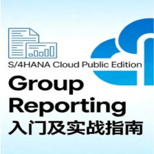 SAP Group Reporting入门指南（3）--公司间匹配对账ICMR及合并版本等主数据_sap icmr-CSDN博客