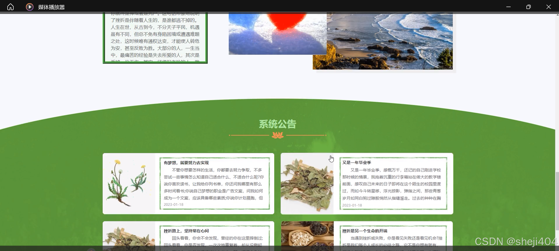 基于ssmvue大参林药品信息管理系统的设计与实现【开题程序论文】医客 大参林 系统 Csdn博客