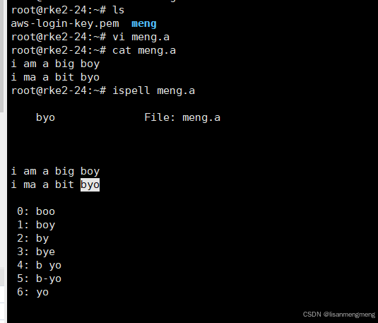 ispell 命令介绍和使用案例_ispell单词存在什么文件中-CSDN博客