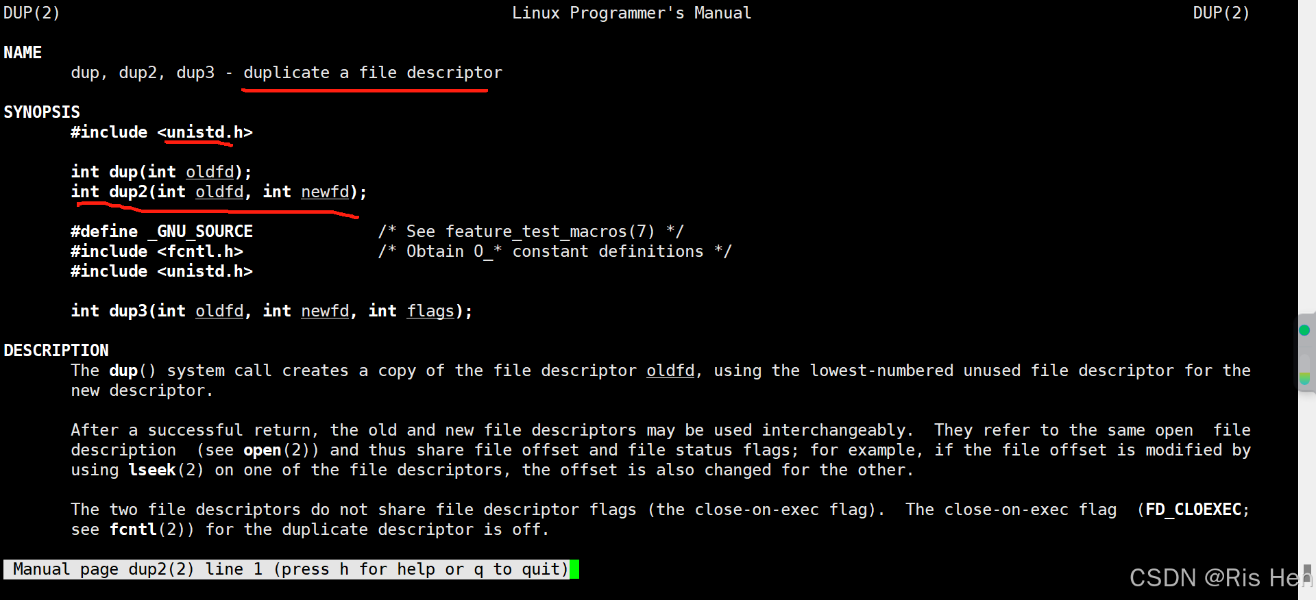 系统文件与I/O-CSDN博客