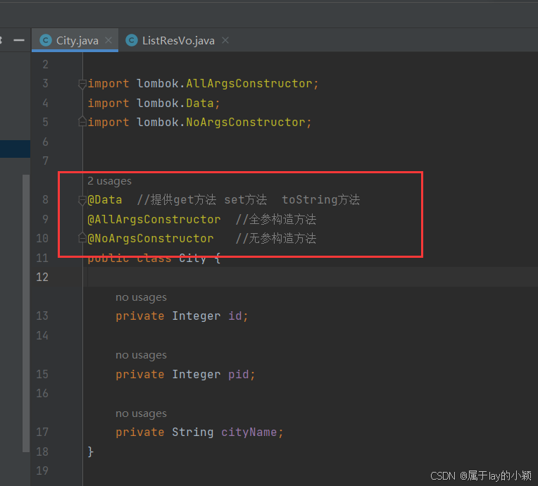 idea如何使用Lombok_idea lombok-CSDN博客