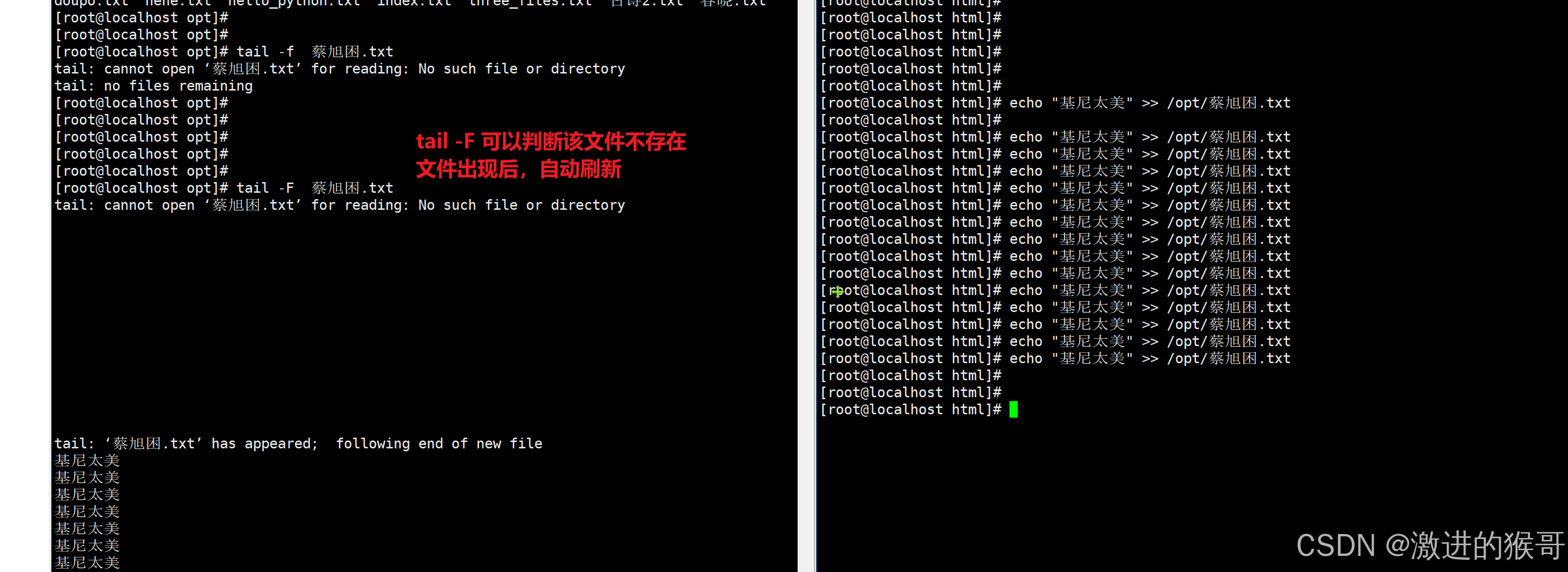 day09-文件搜索与读取-CSDN博客