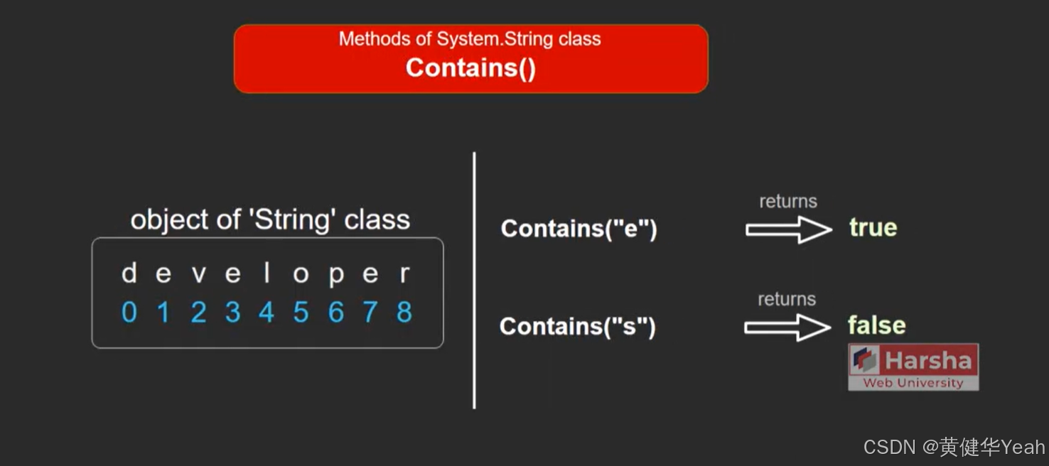 216 Checking Strings 01-CSDN博客