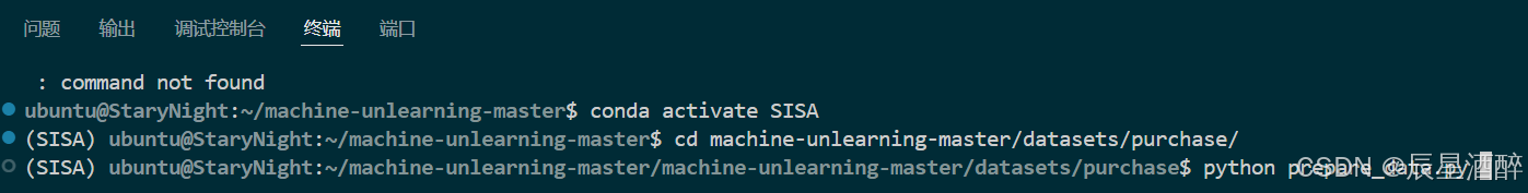 机器遗忘经典方法样例实践——SISA_machine unlearning 实战代码-CSDN博客