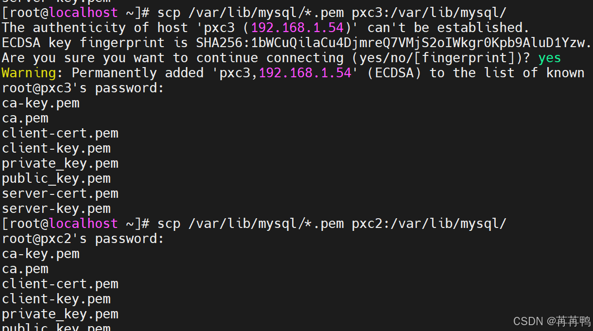 mysql8.0 实现pxc高可用-CSDN博客