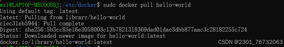 WSL2安装docker，成功pull-CSDN博客