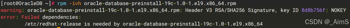 在openEuler-24.03 (LTS-SP2)上RPM方式安装Oracle19c_openeuler安装oracle-CSDN博客