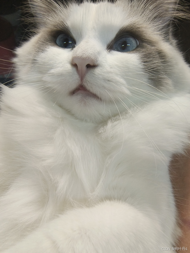 【HarmonyOS Next之旅】基于ArkTS开发(三) -＞ 兼容JS的类Web开发(五) -＞ Svg_arkts 二次贝塞尔曲线-CSDN博客