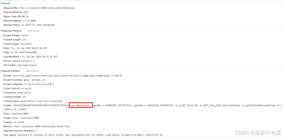 cookie的详细解释以及应用_cookie什么意思啊-CSDN博客