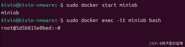 ubuntu搭建docker以运行miniob及通过vscode实现drop table_miniob drop table-CSDN博客