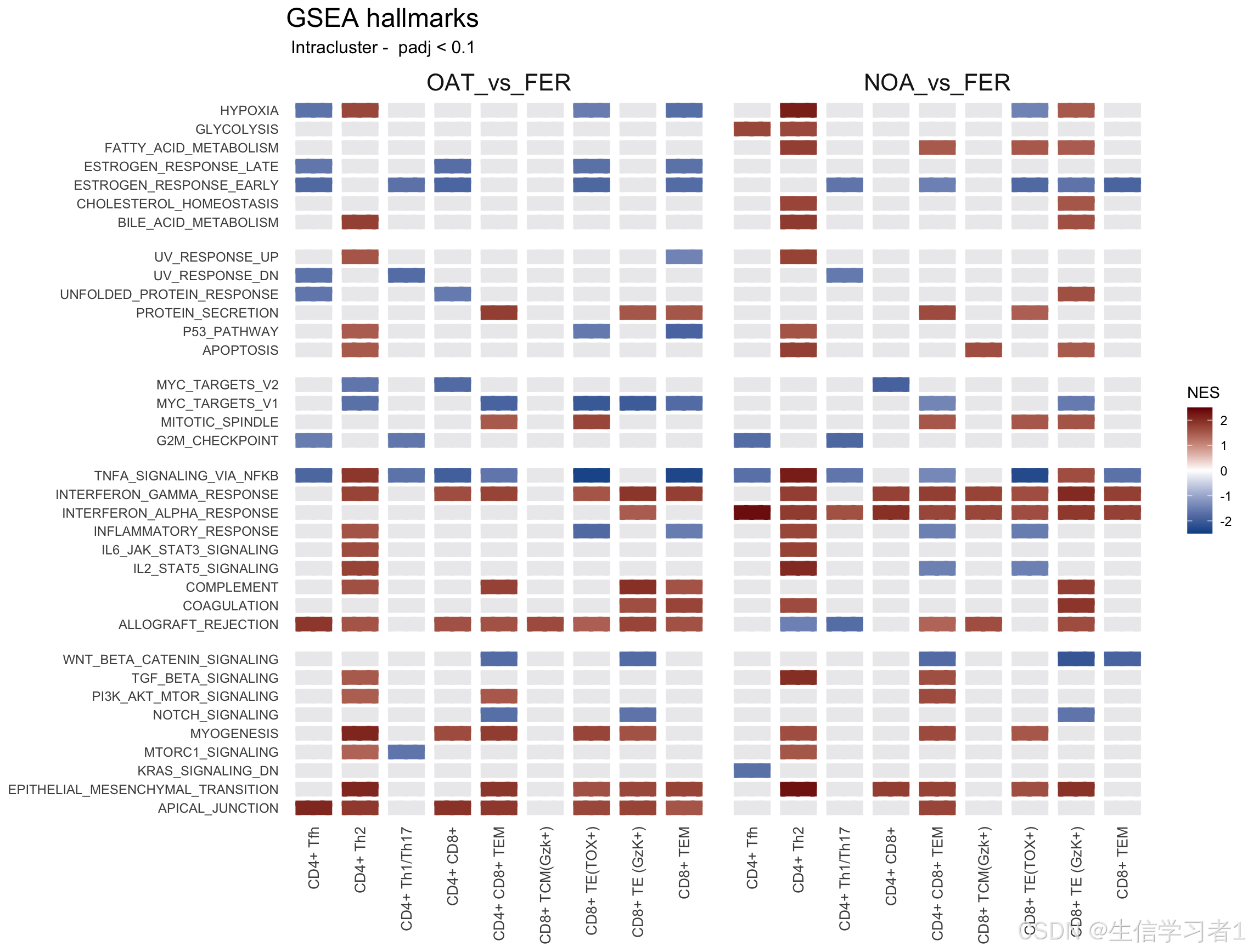 科研绘图系列：R语言绘制GSVA富集分析结果分组热图（GSVA heatmap）_gsva富集热图-CSDN博客