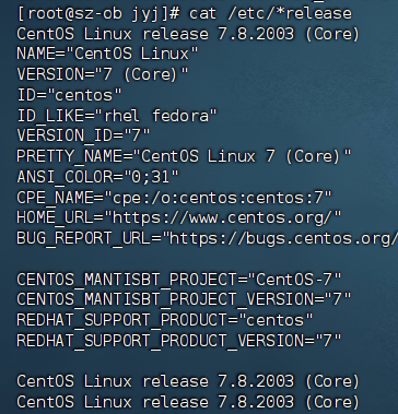 Linux部署minio详细步骤_minio部署linux-CSDN博客