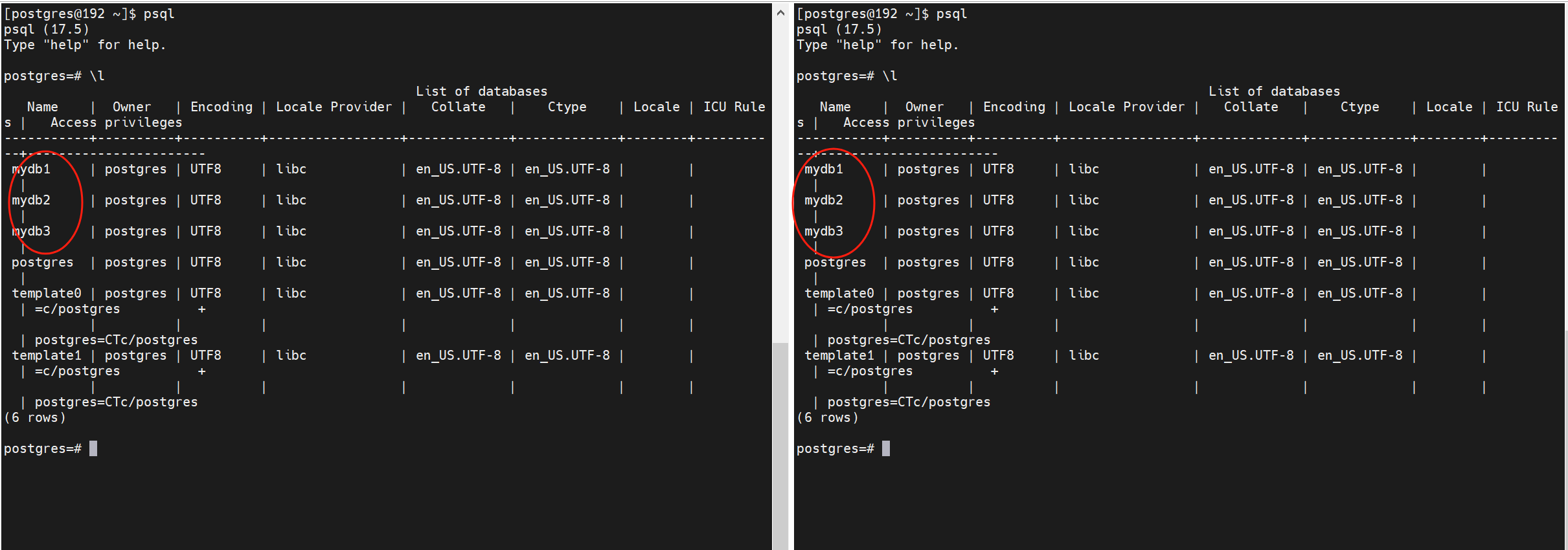 PostgreSQL【高可用篇】01：PostgreSQL17.5版本【宿主机】主从复制搭建_postgresql 高可用-CSDN博客