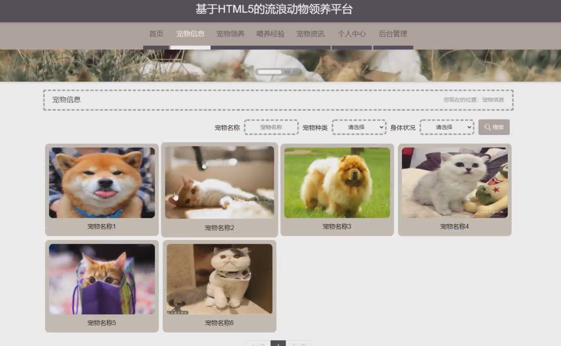 SSM基于HTML5的流浪动物领养平台yww0b（程序+源码+数据库+调试部署+开发环境）-CSDN博客