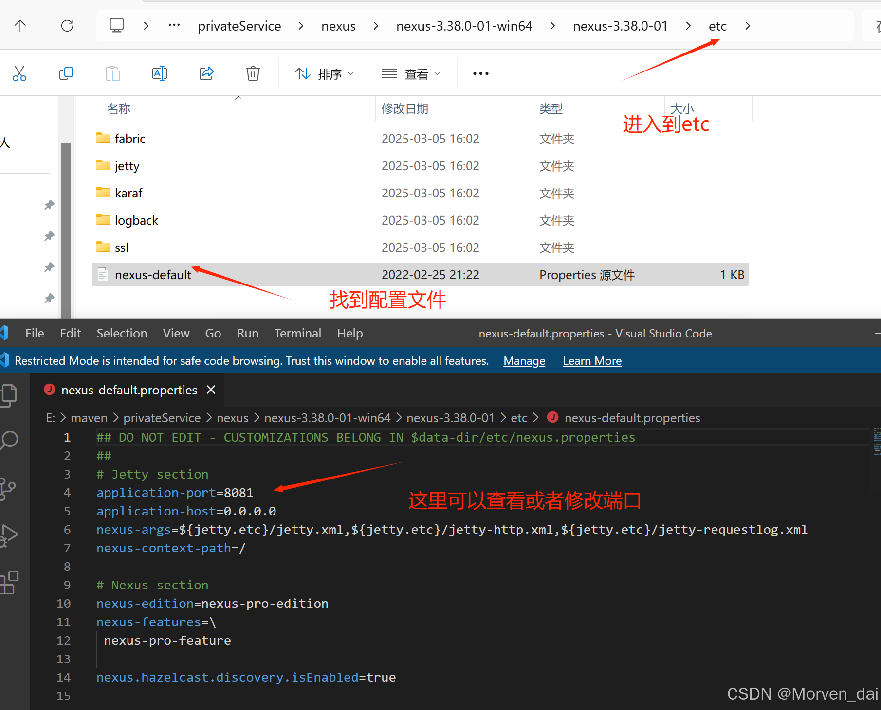 JAVA学习——maven（二）私服搭建（1）安装_java maven nexus-CSDN博客