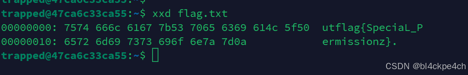 UTCTF 2025 writeup_2025红明谷ctf writeup-CSDN博客