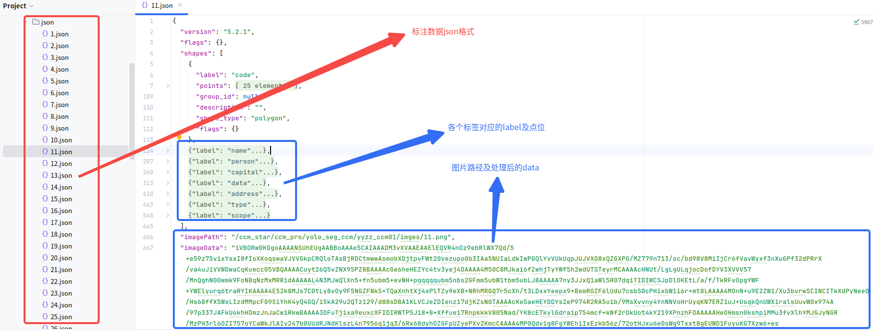 YOLOv11 + Segmentation 实例分割-CCM_yolo segmentation-CSDN博客