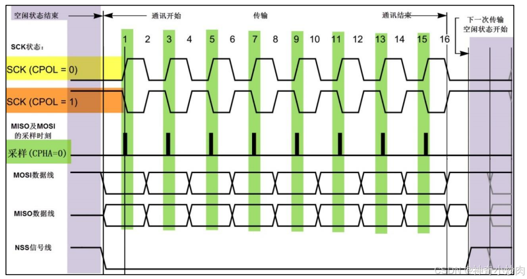Stm32下的spi（从原理到代码）stm32 Spi程序 Csdn博客