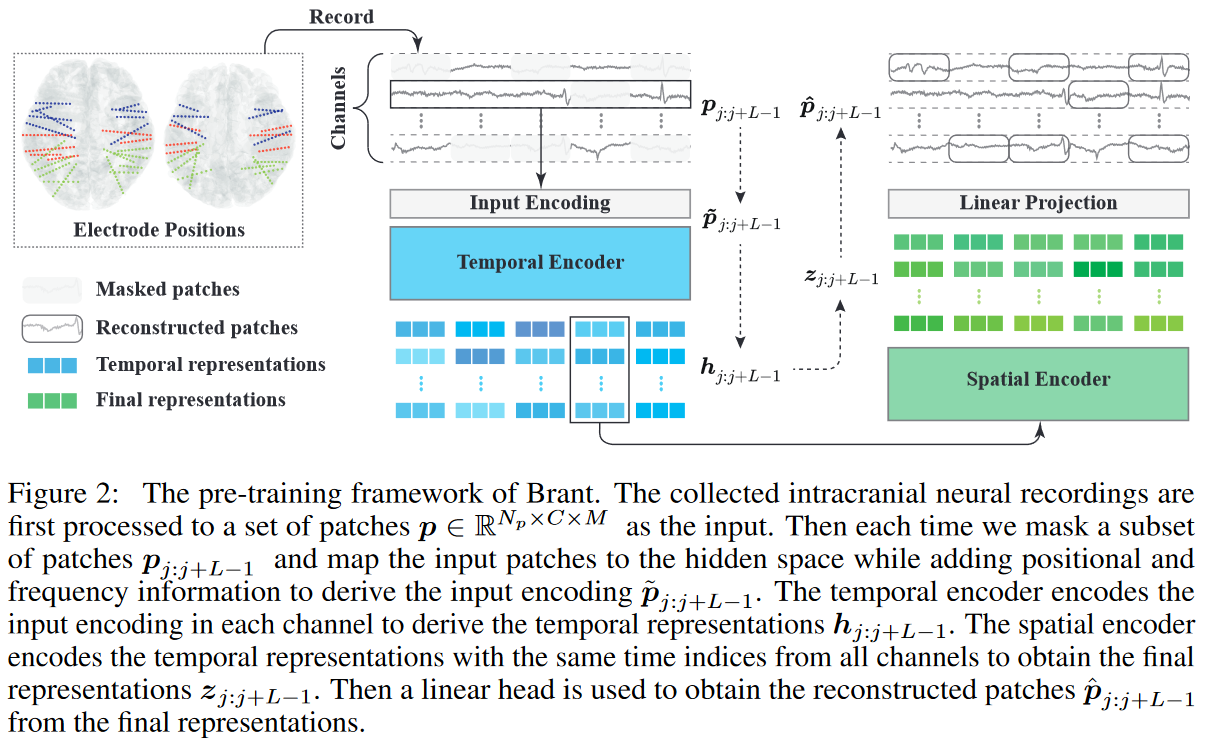 【论文笔记】Brant: Foundation Model for Intracranial Neural Signal (NeurIPS ...