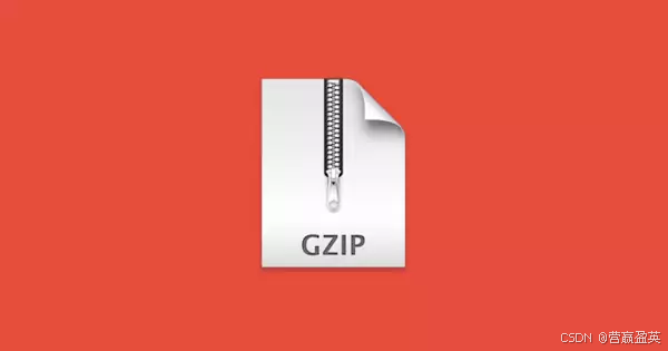 Saving Uint8Array to an gzip after conversion_pako unit8array-CSDN博客