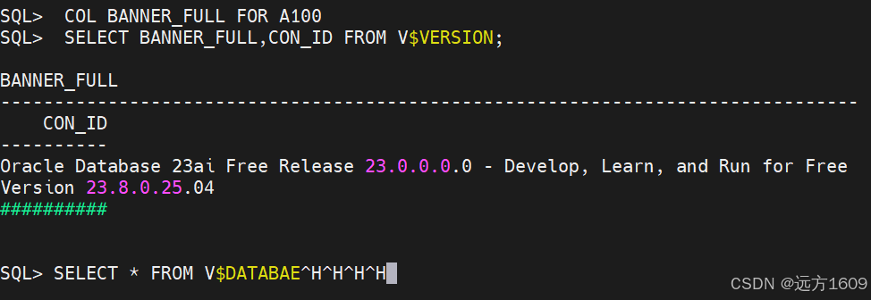6 Oracle Sqlplus、 Sqlcl、 Sql Developer 功能和使用 Csdn博客