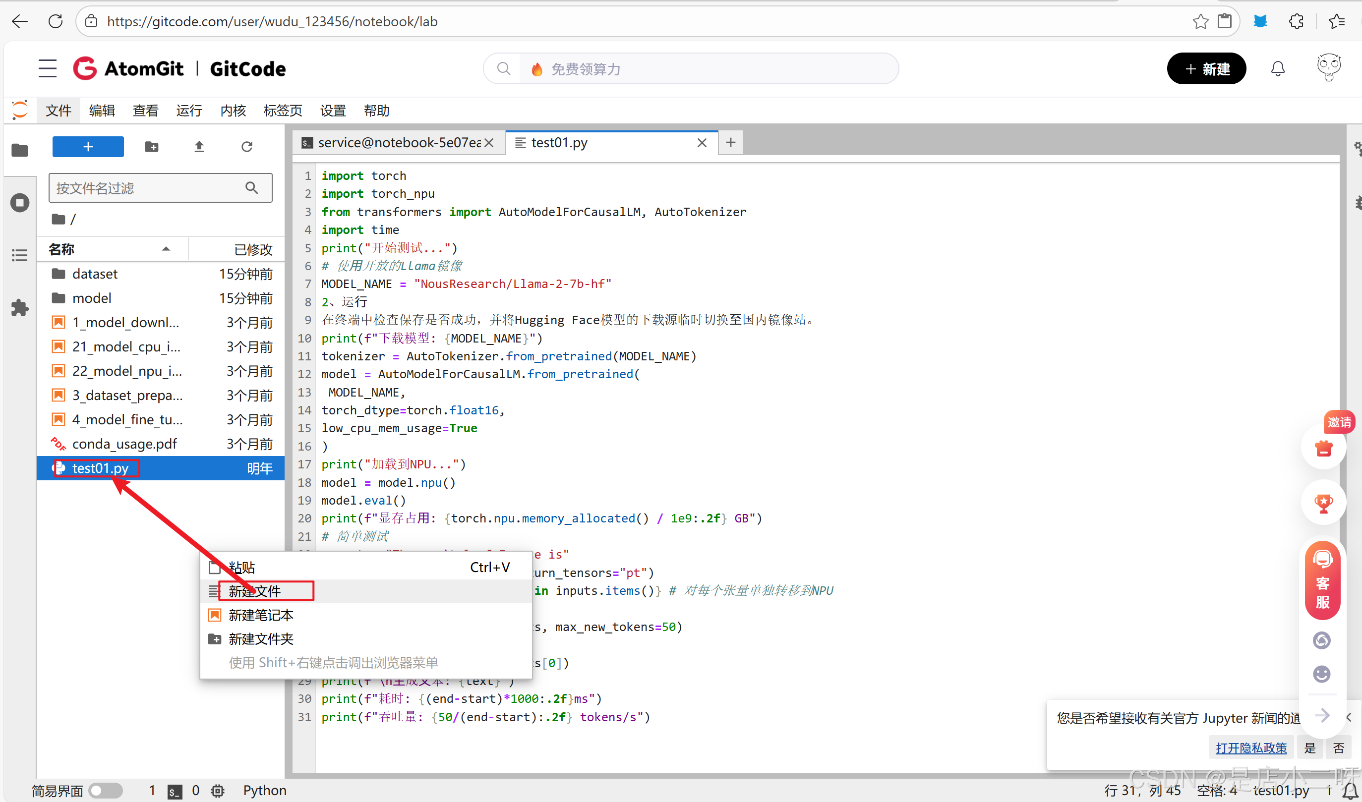 昇腾 NPU：CodeLlama-7b-Python部署测试-CSDN博客