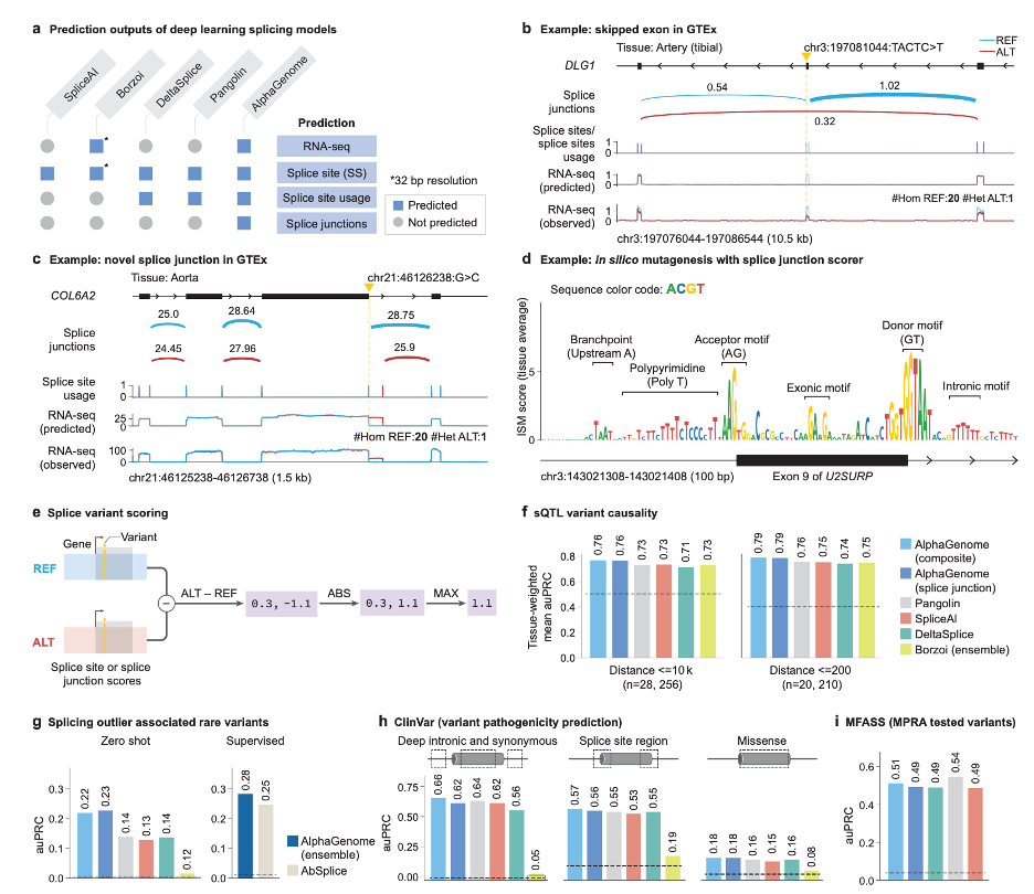 震撼发布！Google DeepMind推出AlphaGenome实现多模态基因调控预测，重塑功能基因组学研究范式_alphagenome怎么 ...