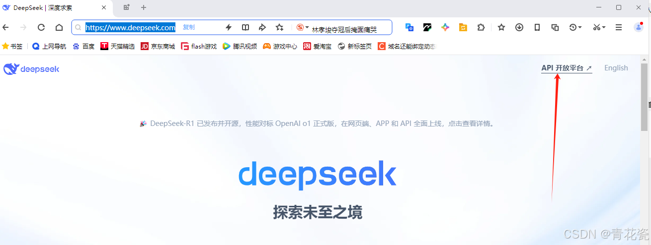 Python调用DeepSeek的在线API_deepseek在线-CSDN博客