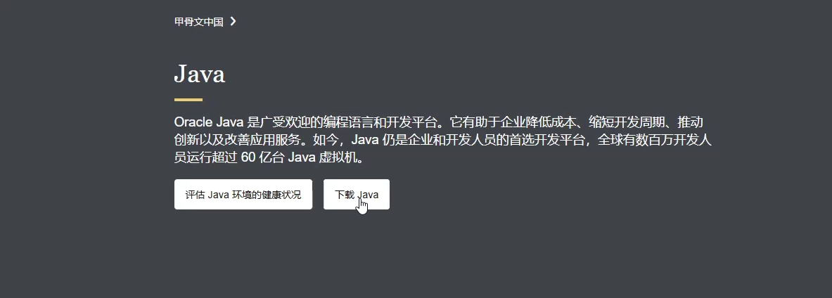 JDK21的下载与安装(2025.8.2)_java21下载-CSDN博客
