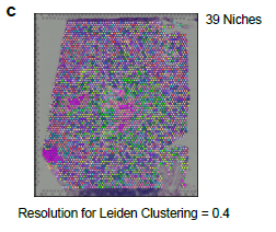 Nature Methods | CellNEST——利用注意力机制解析空间转录组中的细胞间中继网络_cellnest代码-CSDN博客