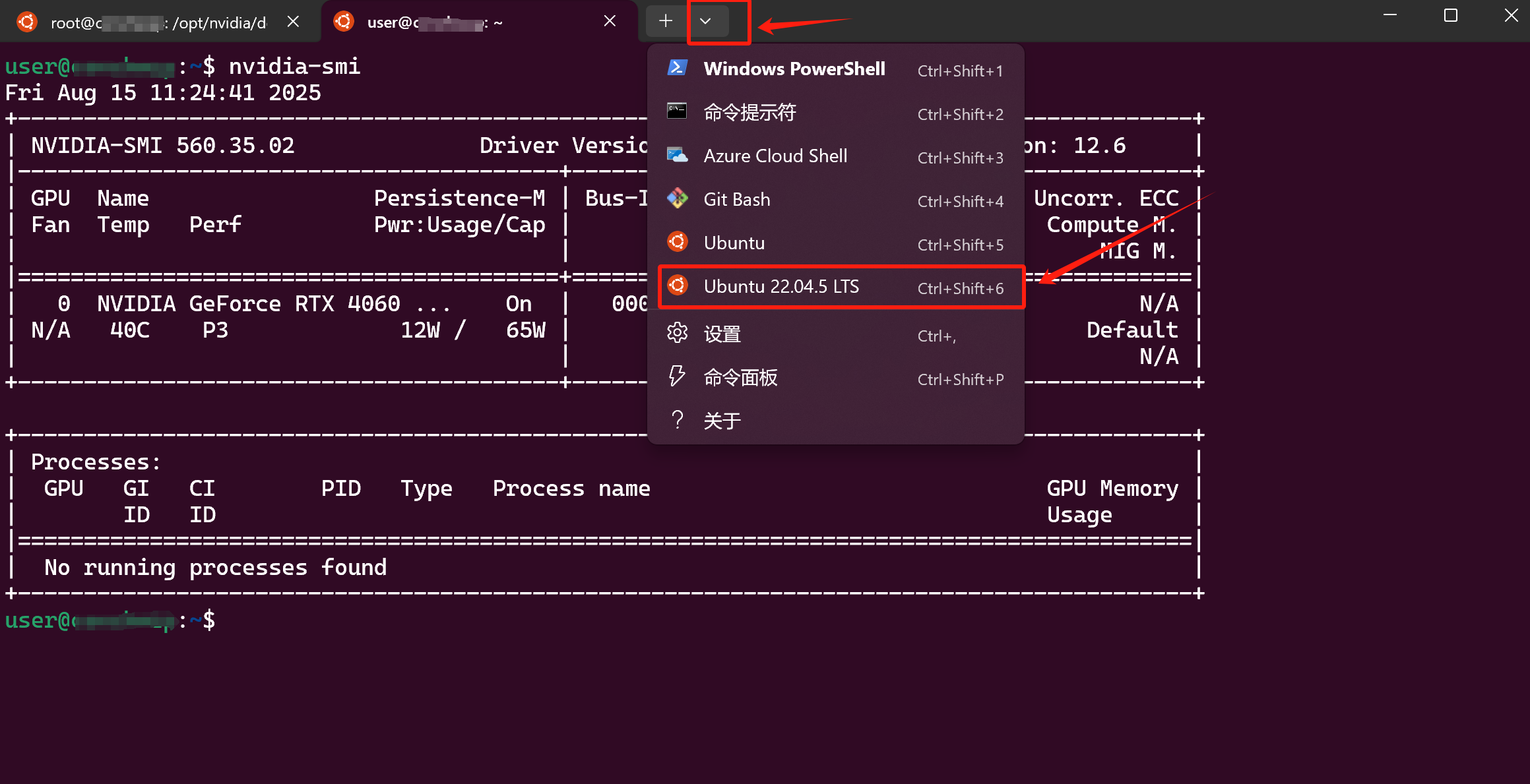 【CSDN 技术专栏】Windows 环境下 安装 NVIDIA DeepStream 7.0 最全流程（WSL2 + Docker 方案）_deepstream windows-CSDN博客