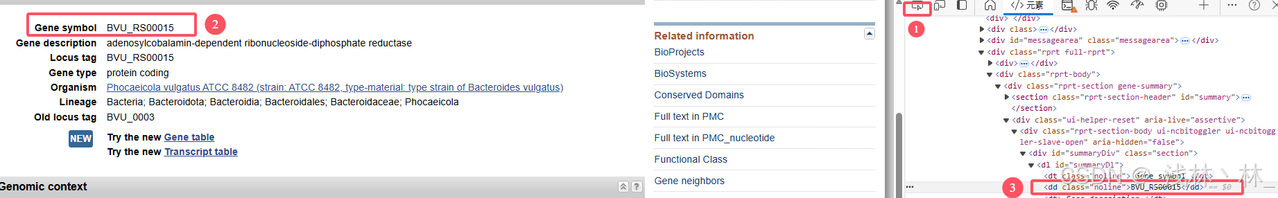 R语言通过爬虫获取基因注释信息_根据基因id获取基因名 r-CSDN博客