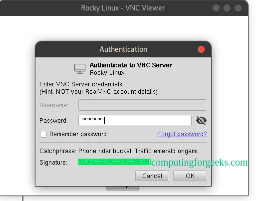 在Rocky Linux 8上设置RealVNC服务器和客户端|AlmaLinux 8_rocky linux vnc-CSDN博客