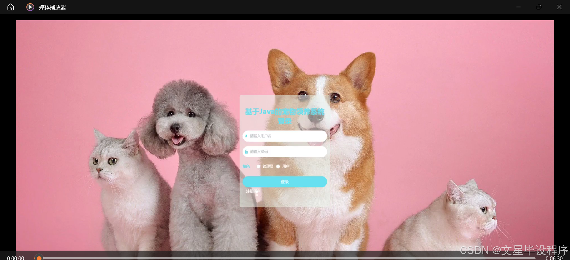 基于ssm+vue基于的宠物领养系统(开题报告+源码+论文)-CSDN博客