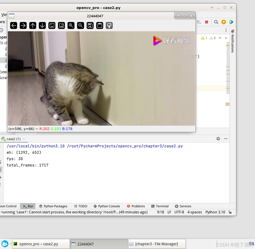 Opencv处理视频文件_ubuntu python opencv 视频处理-CSDN博客